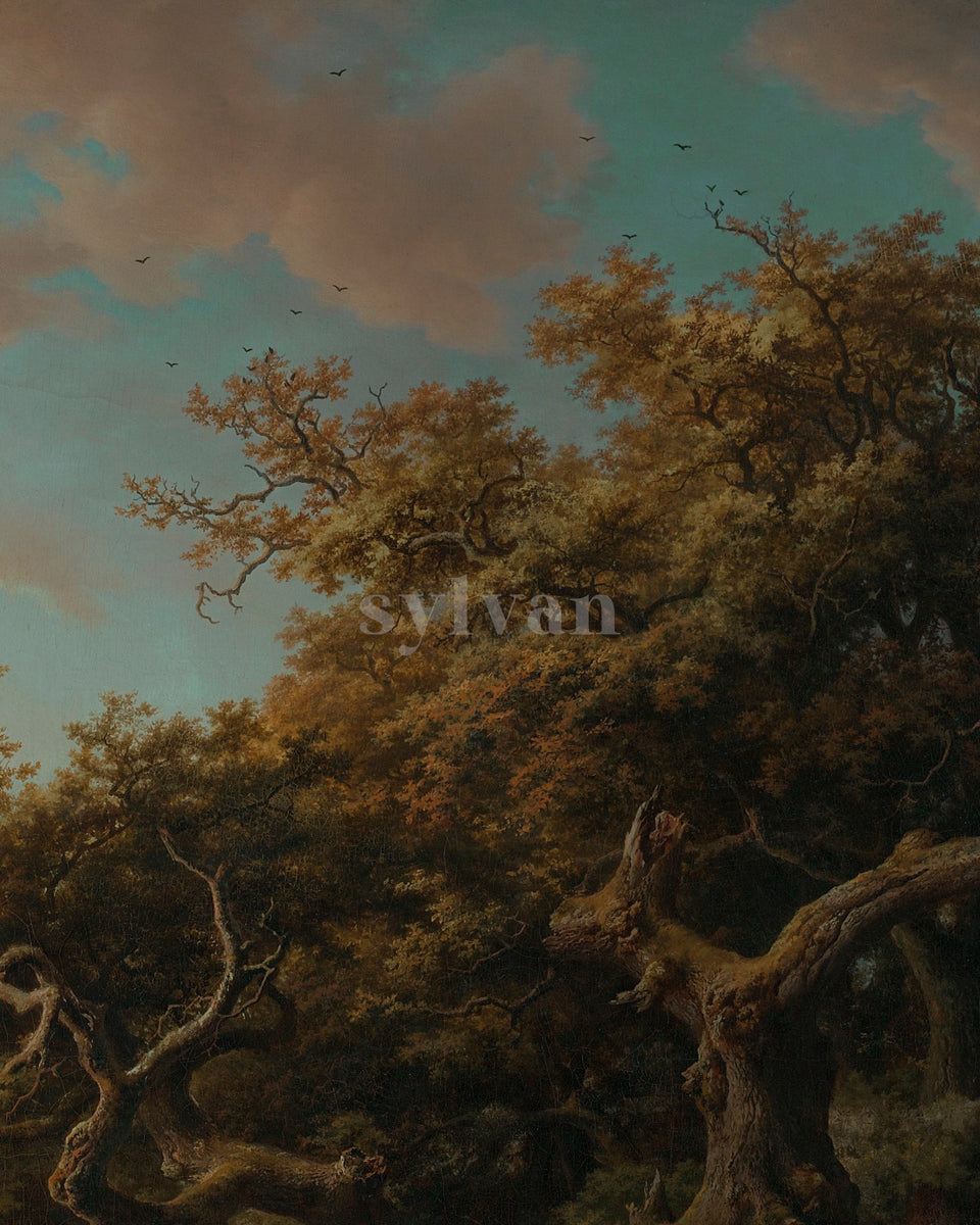 Sylvan - Digital Backdrop for Photoshop – onlythecurious