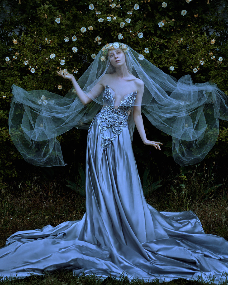 Monet's Moonlight - Lightroom Profile and Photoshop Action – onlythecurious